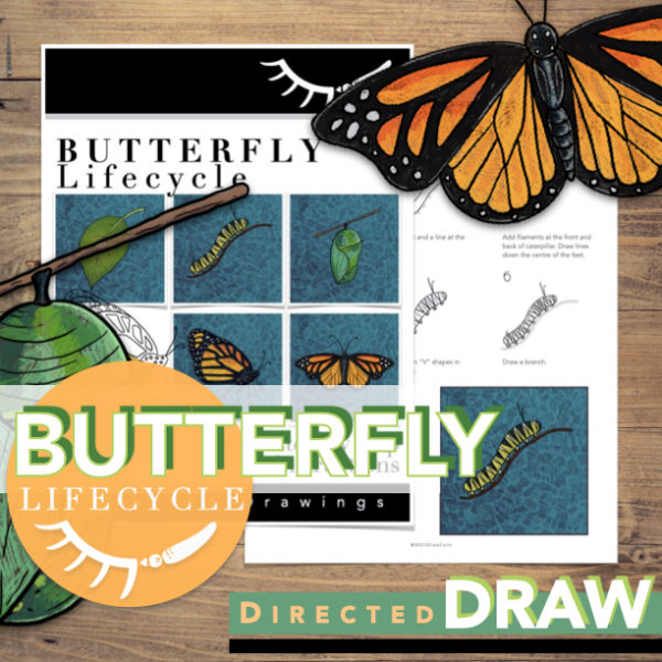 Why Directed Drawings for First Grade is so Important - Draw Calm