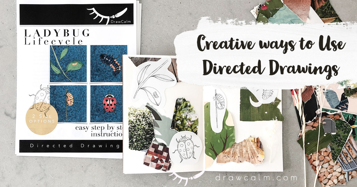 Directed Draw for Kids: 5 Creative Ways to use Them - Draw Calm