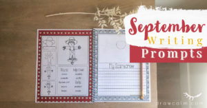 Writing Prompts for 2nd Grade : Easy to Organize Program - Draw Calm
