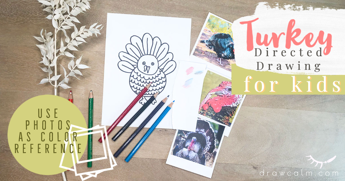 Step by Step Turkey Directed Draw: Delightful Thanksgiving Drawing ...