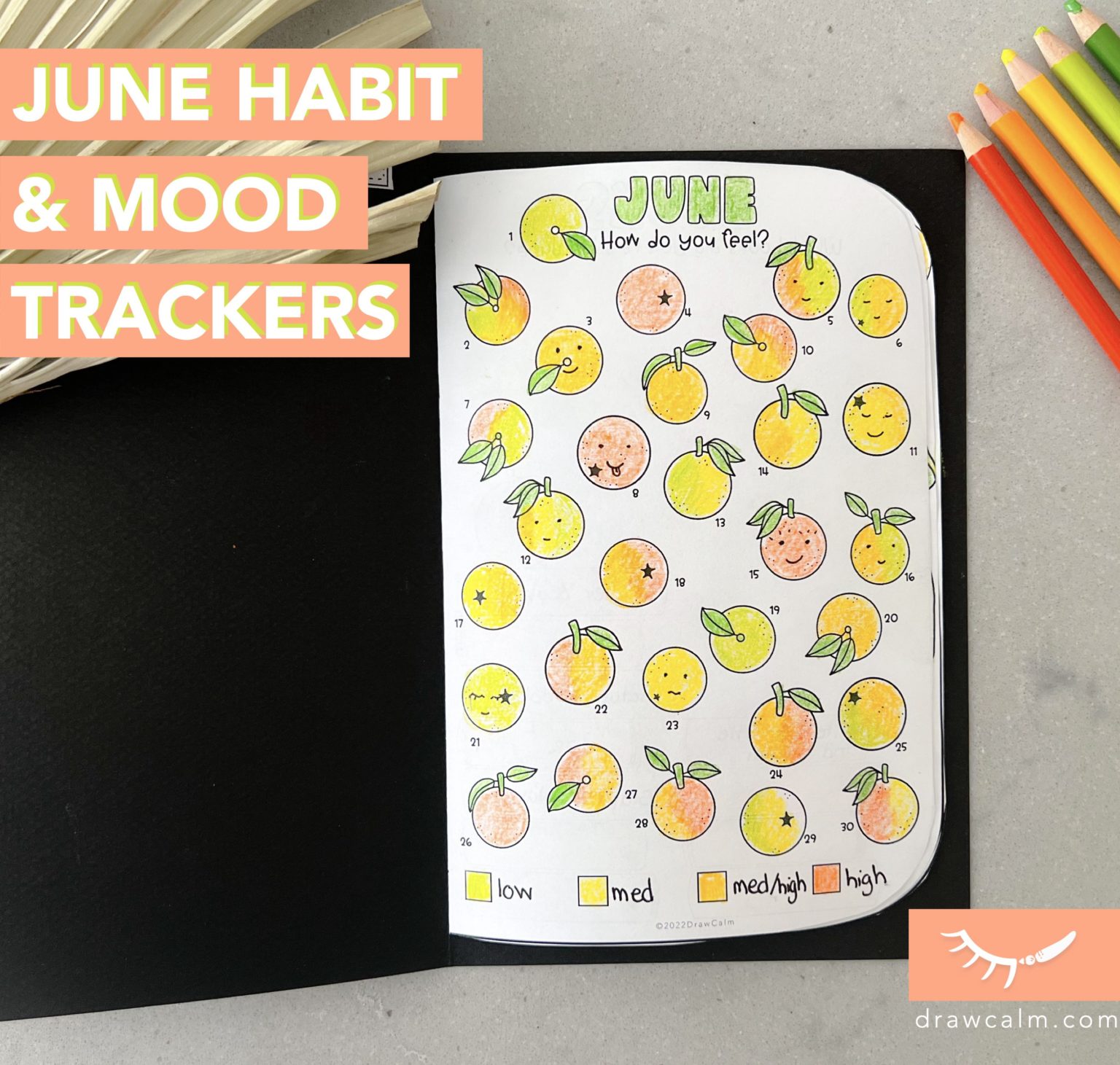 Mood Tracker Printable : A Fun Way to Help Kids Reach their Goals ...