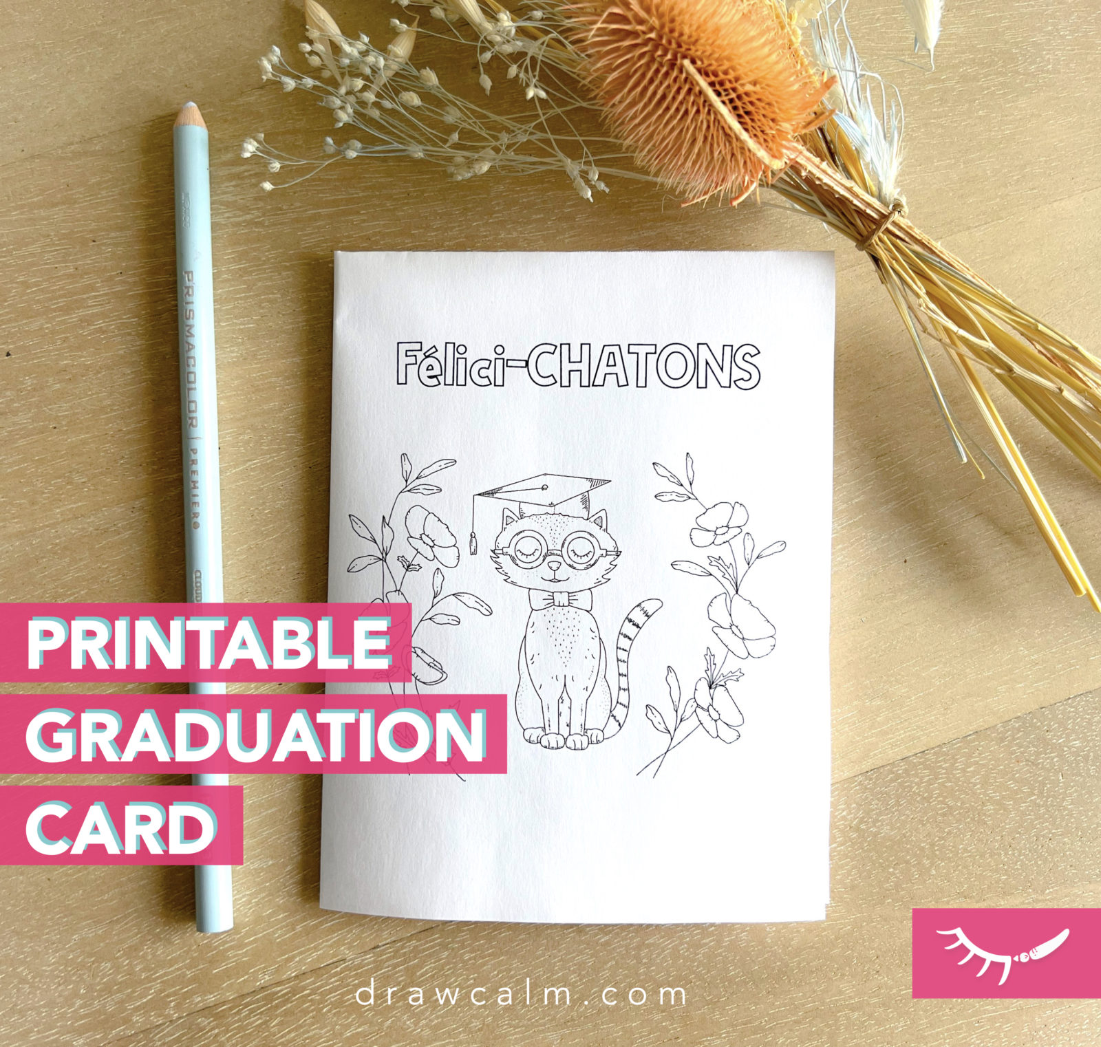 Cute Kitten Coloring Page to Celebrate a Special Graduation - Draw Calm